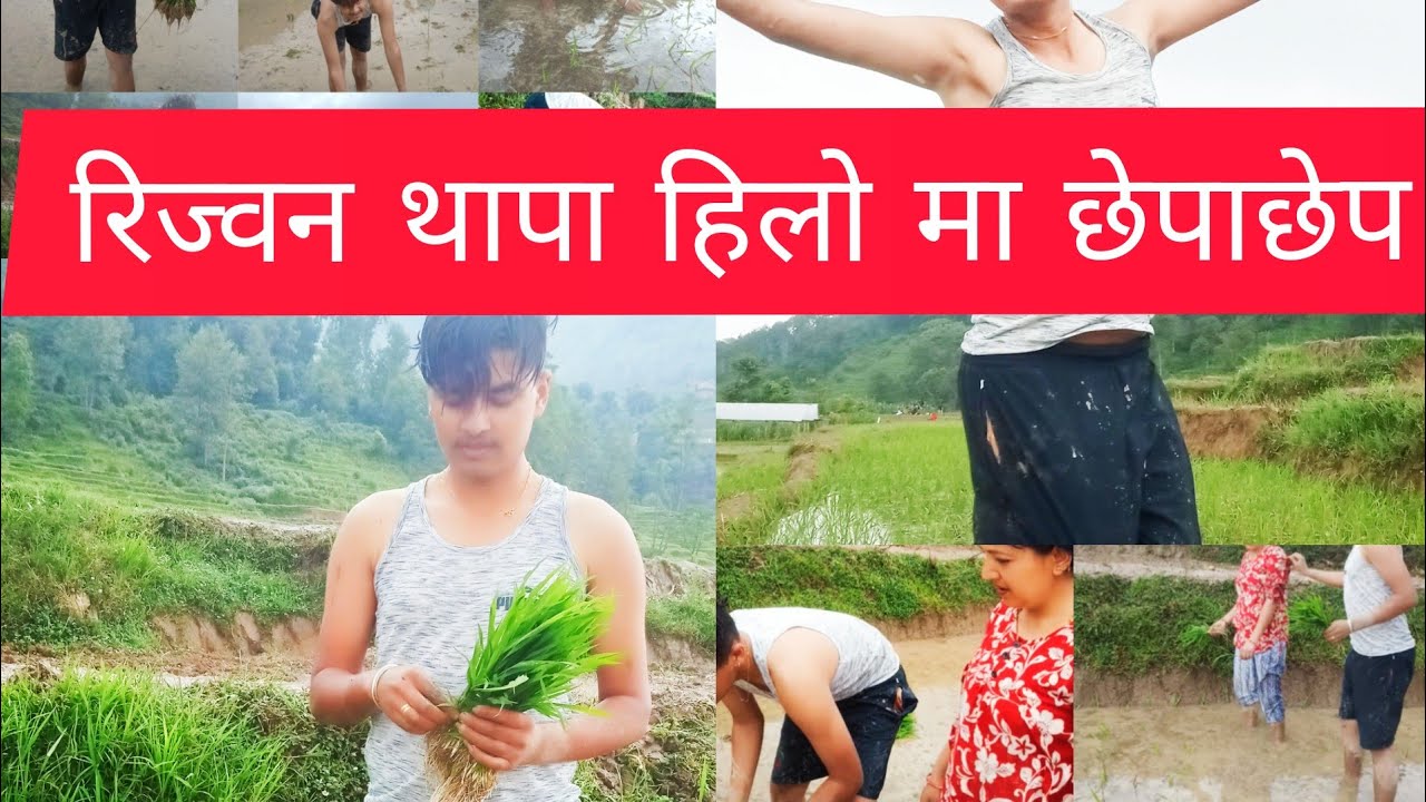 रोपाई मा हिलाे खेल्दै रिज्वन थापा |Rizwan Thapa| ropai special | ropai ...