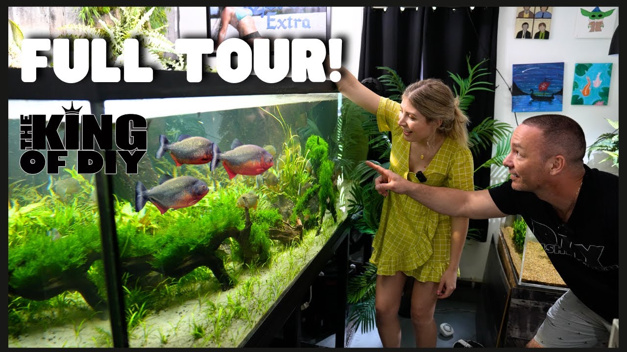 Over 30 Tanks! Aquarium Gallery FULL Tour with the King of DIY - YouTube