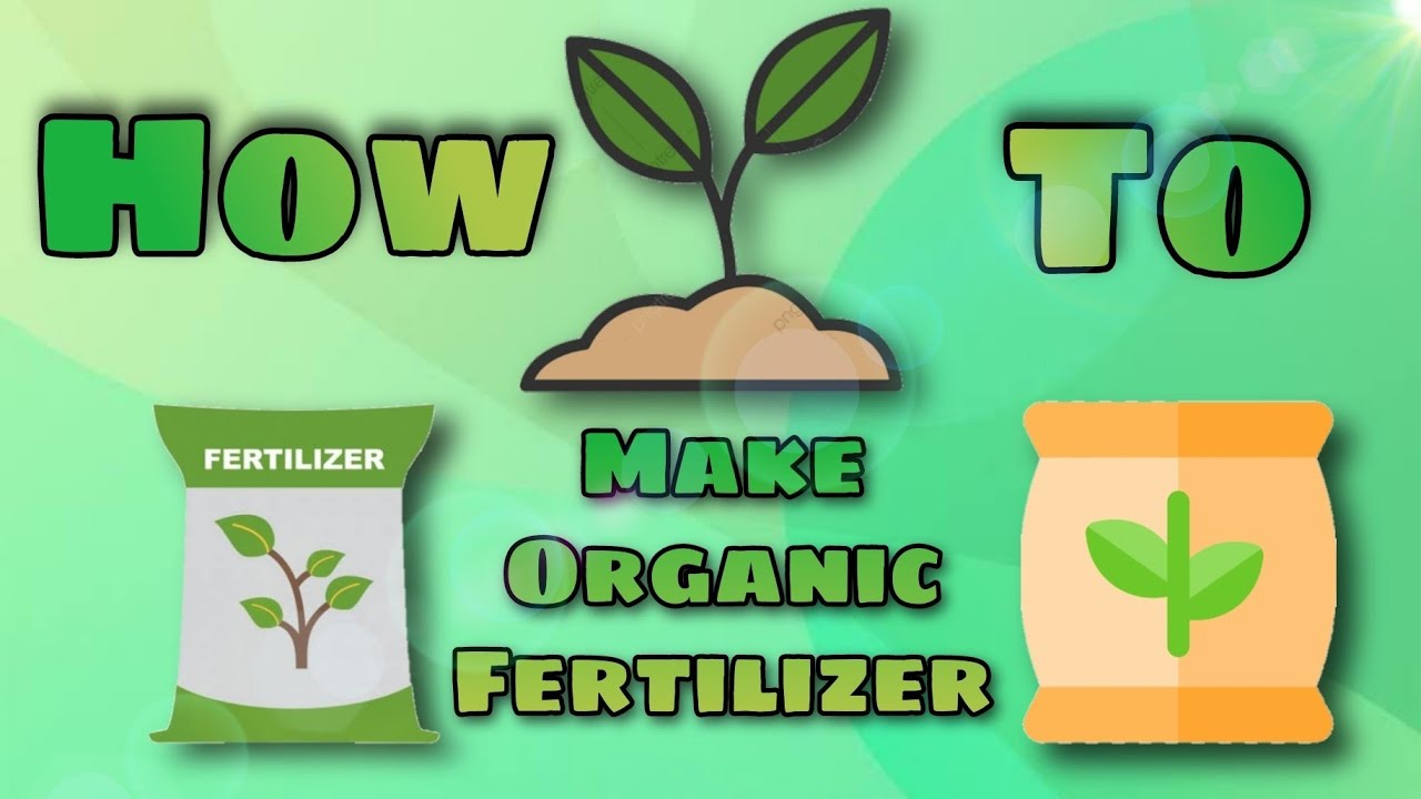 How To Make Organic Fertilizer Using EM4 - YouTube