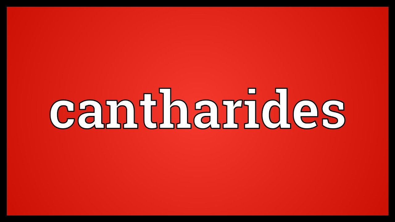 Cantharides Meaning - YouTube
