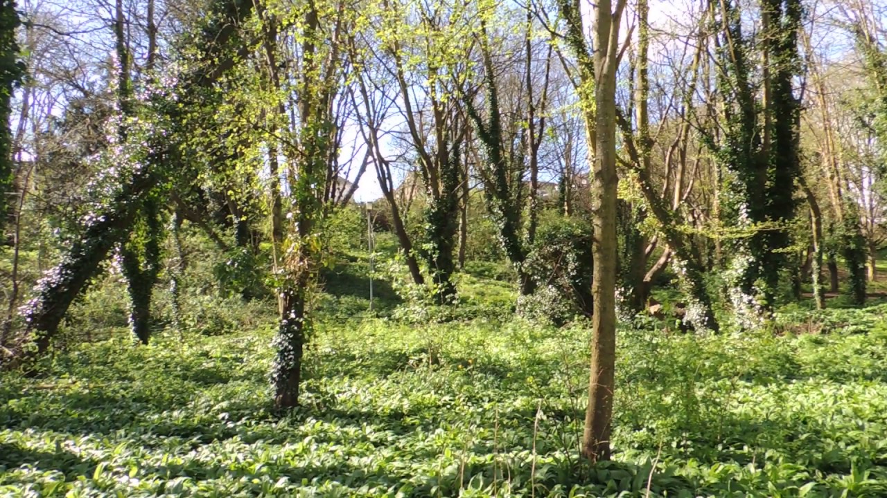 Keynsham Memorial Park - YouTube