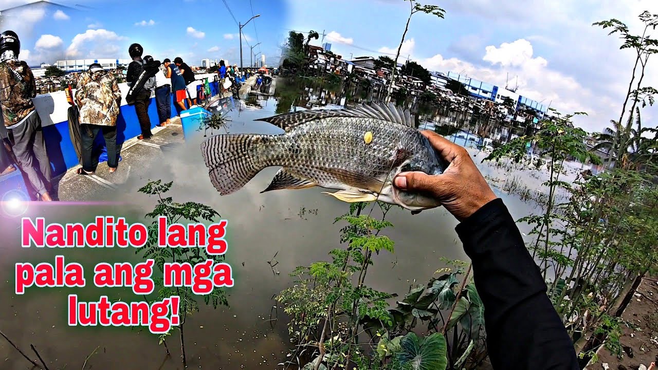 Ang tagal namen nag abang sa tulay, nandito lang pala ang mga lutang ...