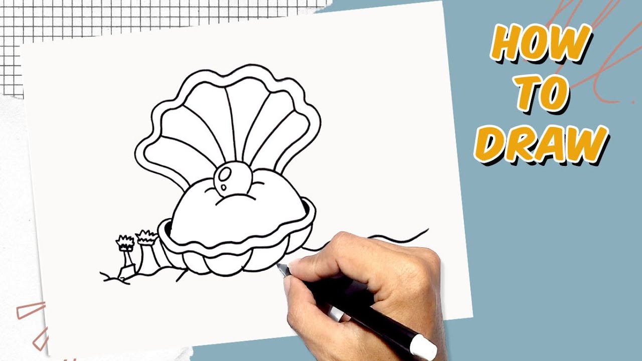 How to Draw Oyster Step By Step - YouTube