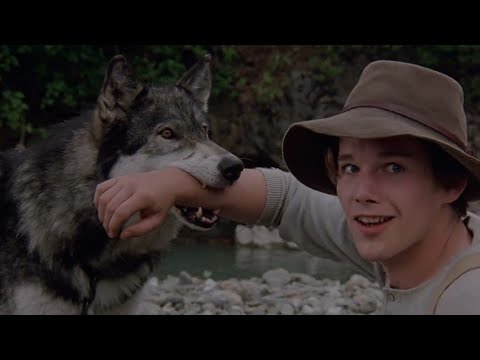 They became friends | White Fang (1991)