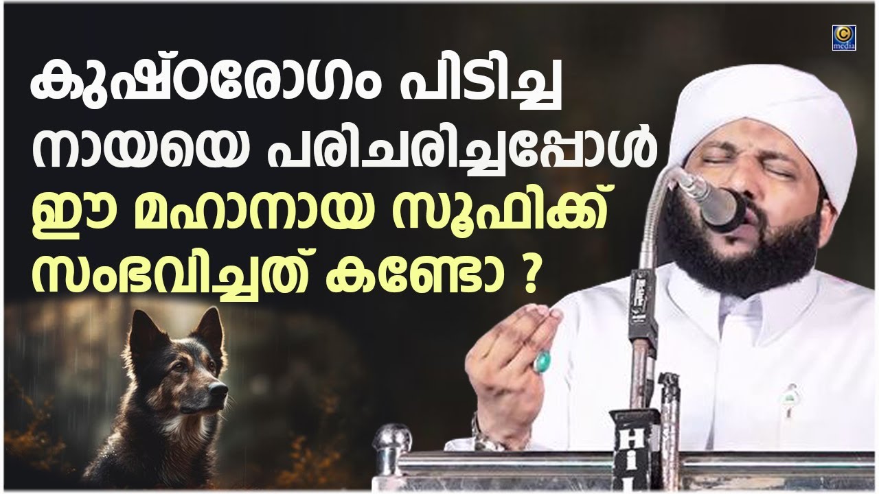 കുഷ്ഠരോഗം പിടിച്ച നായയെ പരിചരിച്ചപ്പോൾ ഈ മഹാനായ സൂഫിക്ക് സംഭവിച്ചത് ...