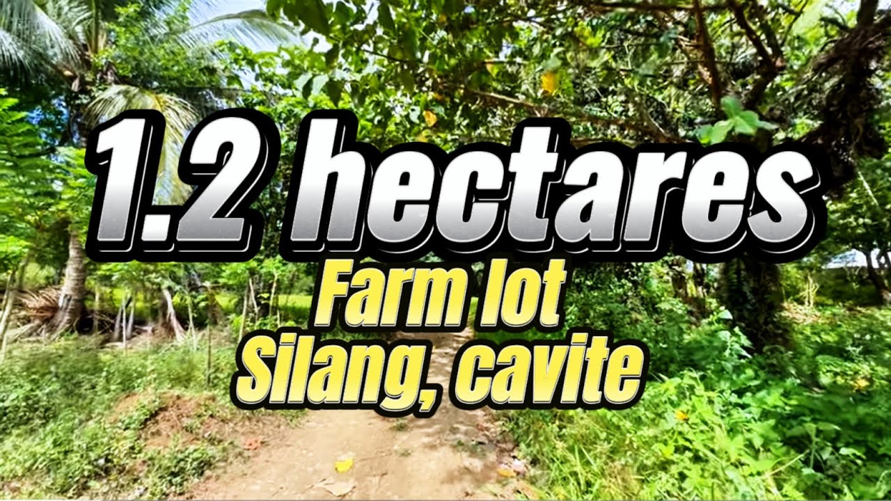 L-239-24 Silang cavite Farm lot 1.2 hectares ideal for farm estate ...