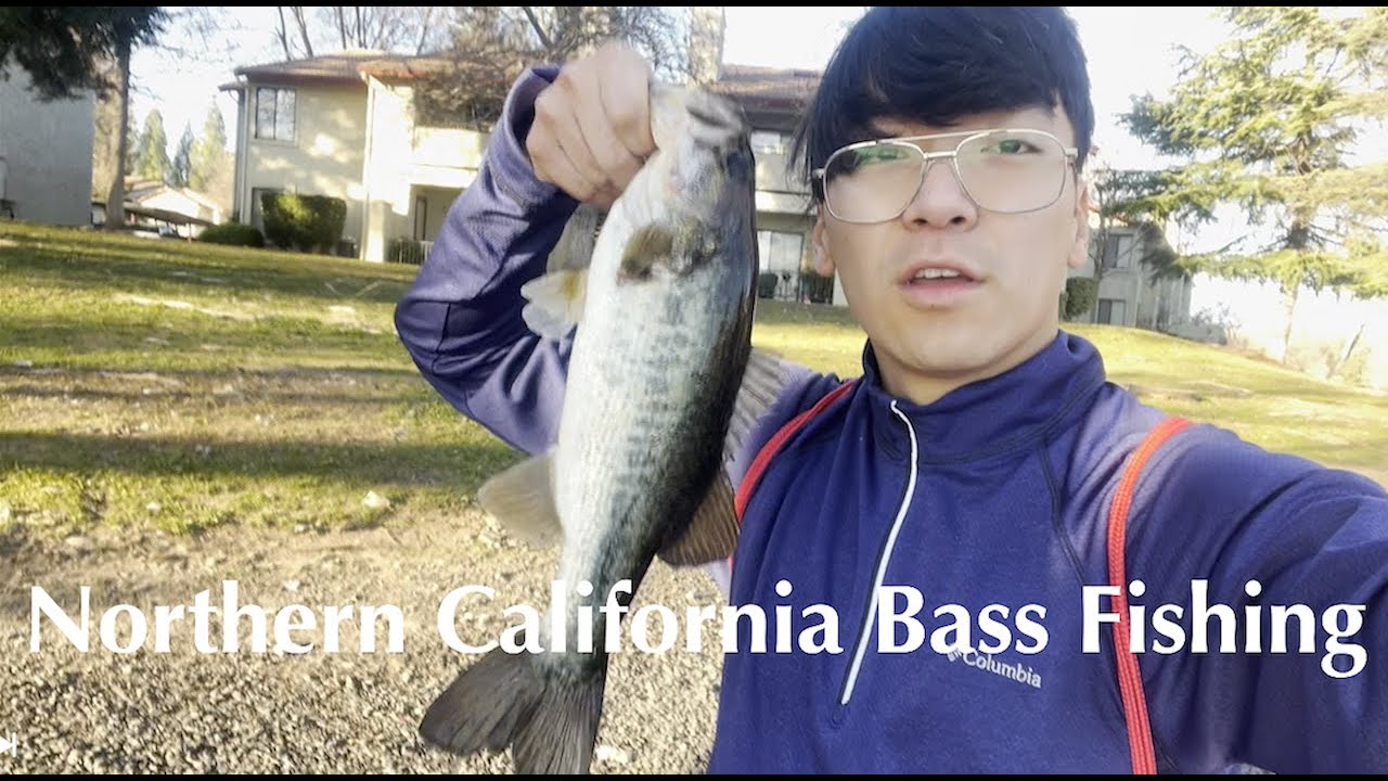 Northern California Bass Fishing #TibetanVlogger - YouTube