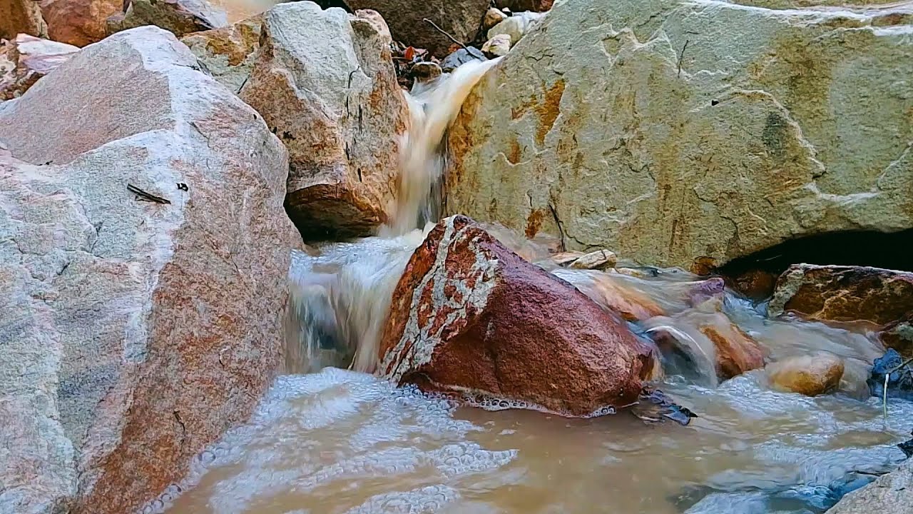 Water Flowing Sounds in Forest | Nature Sounds for Sleeping - YouTube