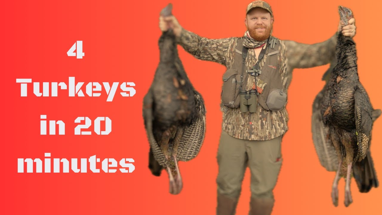 4 Turkeys in 20 minutes! - YouTube