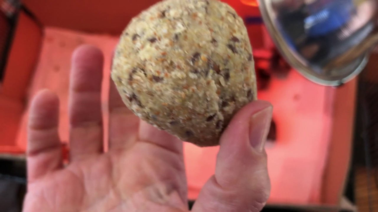 The Worm Ball - YouTube