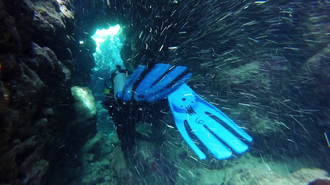 Samadai and Sataya "Dolphin House" Reefs - 2026 Guide