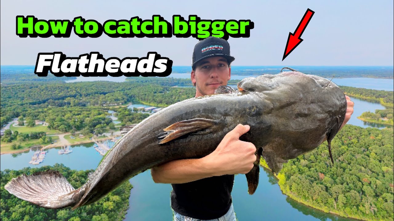 Day, # 1 of trying to catch the Missouri State record, flathead catfish the best baits to use 👑 ...