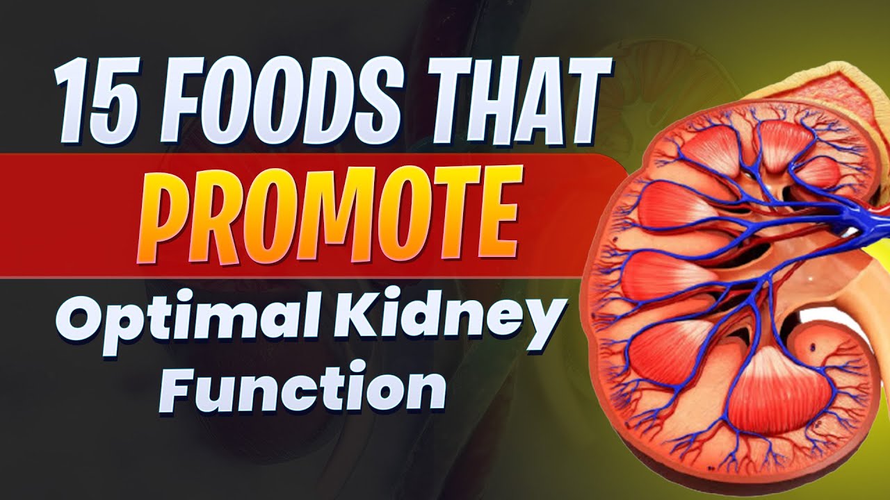 Eat These Foods To Promote Optimal Kidney Function! - YouTube