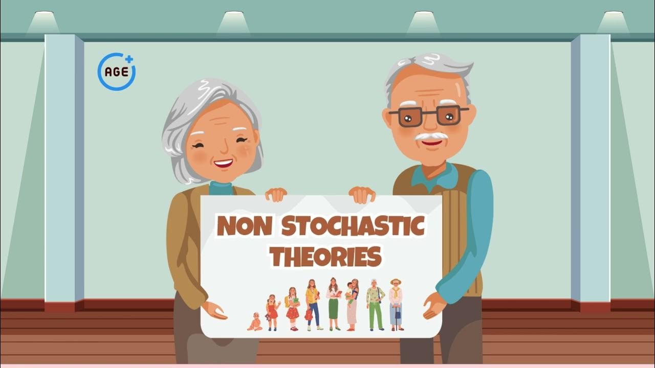 Biological Theory of Aging (Stochastic VS Non-Stochastic) - YouTube