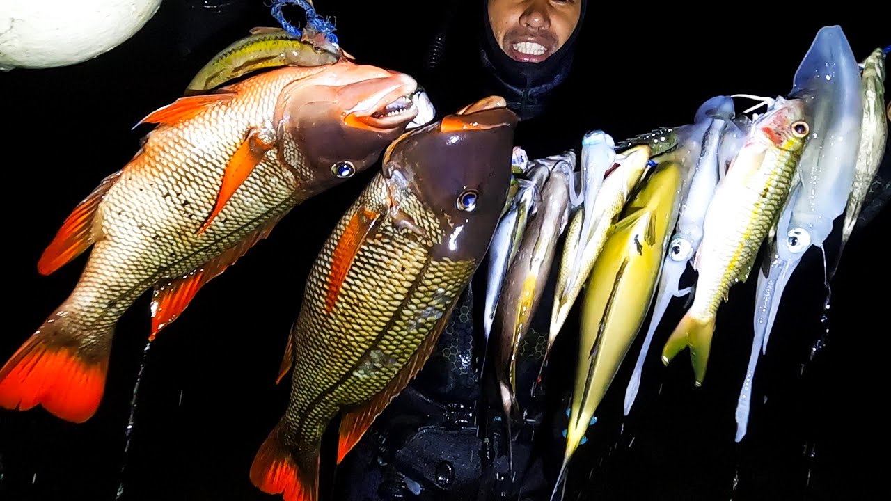Night Fish Hunting | Ang sasarap ng mga isdang nahuli | catch and cook ...