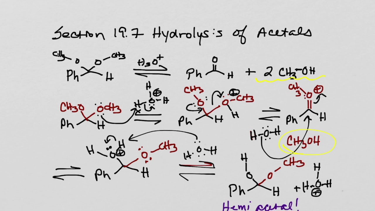 Acetal hydrolysis - YouTube