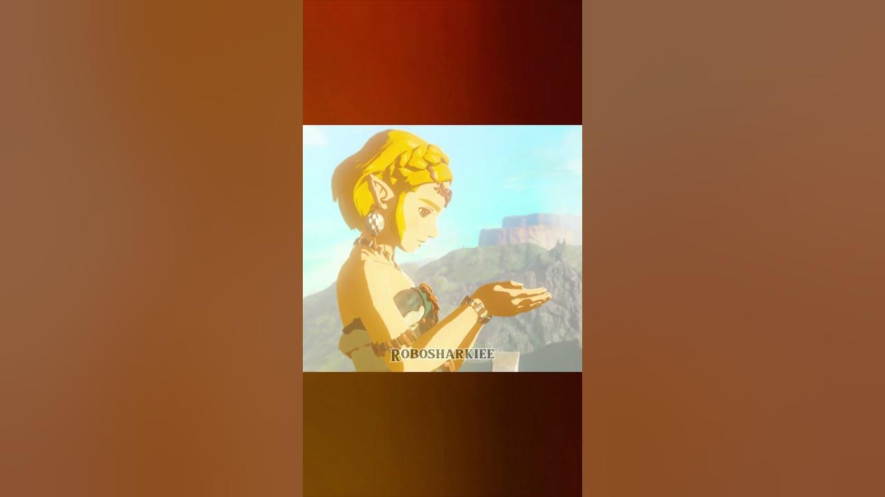 Zelda Swallows The Secret Stone Totk Edit Shorts Tearsofthekingdom Zelda Edit Youtube