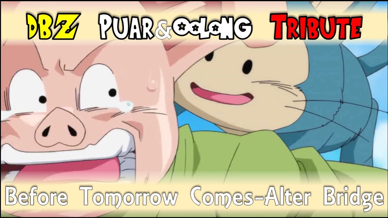 DBZ Puar & Oolong AMV Tribute- Before Tomorrow Comes - YouTube