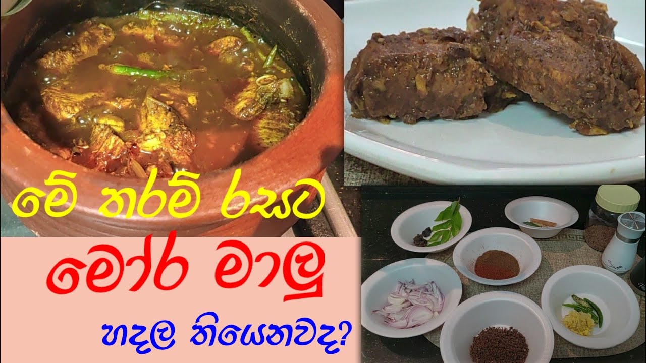 මෝර මාලු කරියක් රසට හදමු | How to make mora malu curry | Shark fish ...