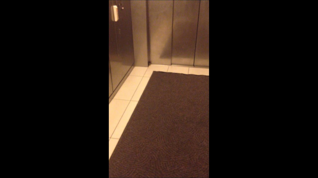 Mouse trapped in Elevator!! OMG!!!!!! - YouTube
