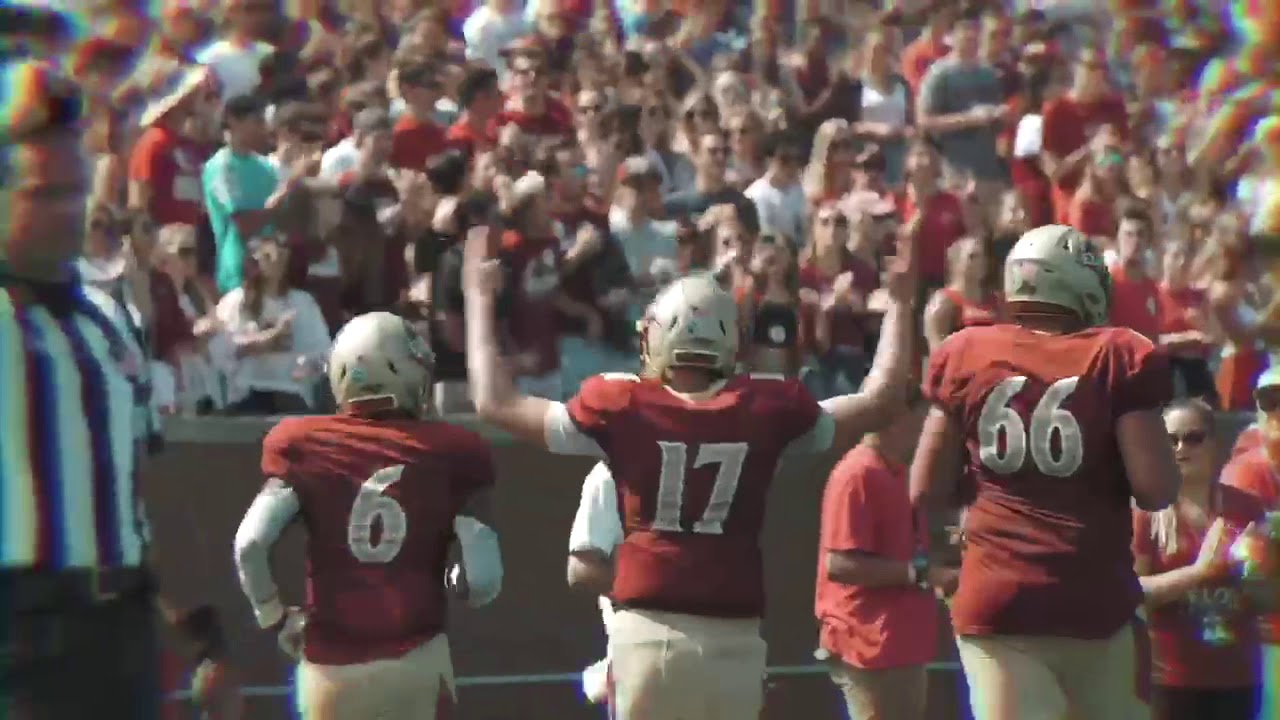 Davis Cheek 2019 Football Highlights - YouTube