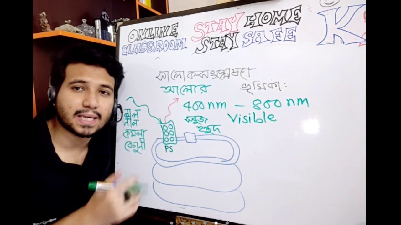 KSC SSC biology chapter 4 lecture 4 New - YouTube