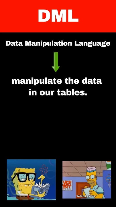 DDL vs DML vs DCL commands in SQL #shorts #sql - YouTube