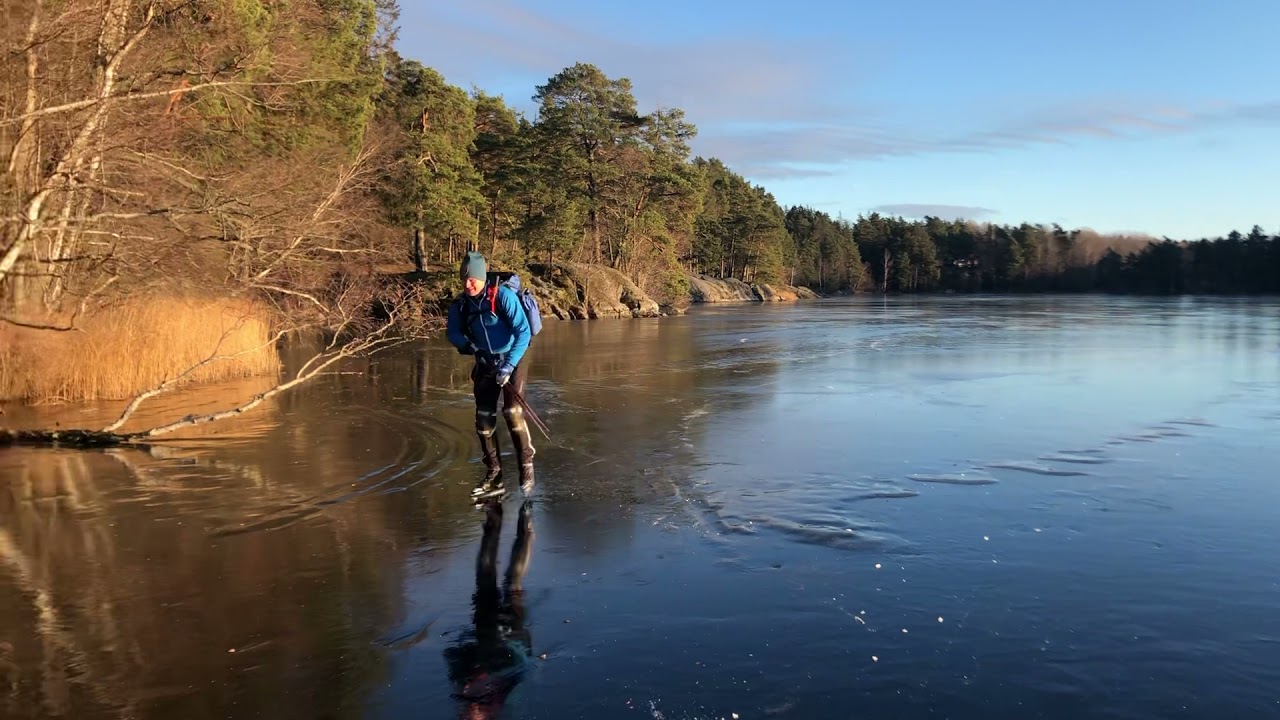 Uttran 19 december 2021 - YouTube