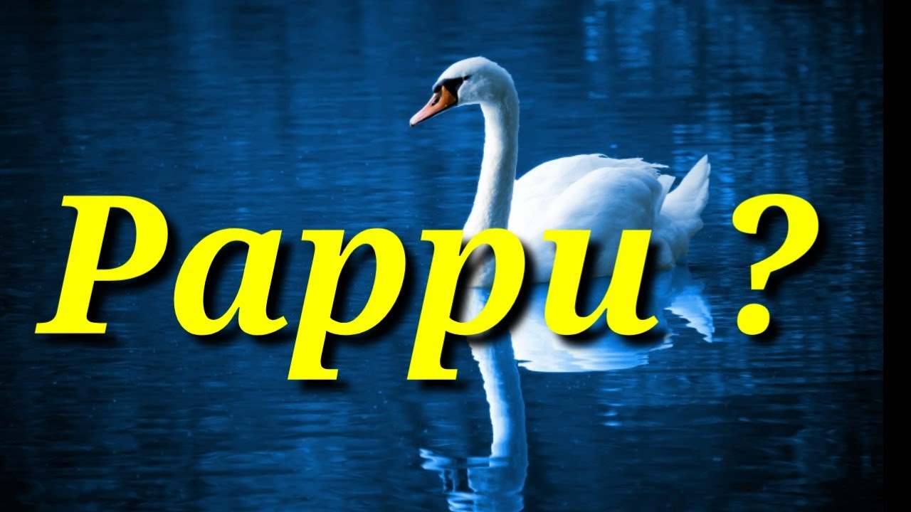 Pappu Name Ke Meaning | Pappu Name Status | Pappu Naam Ka WhatsApp ...