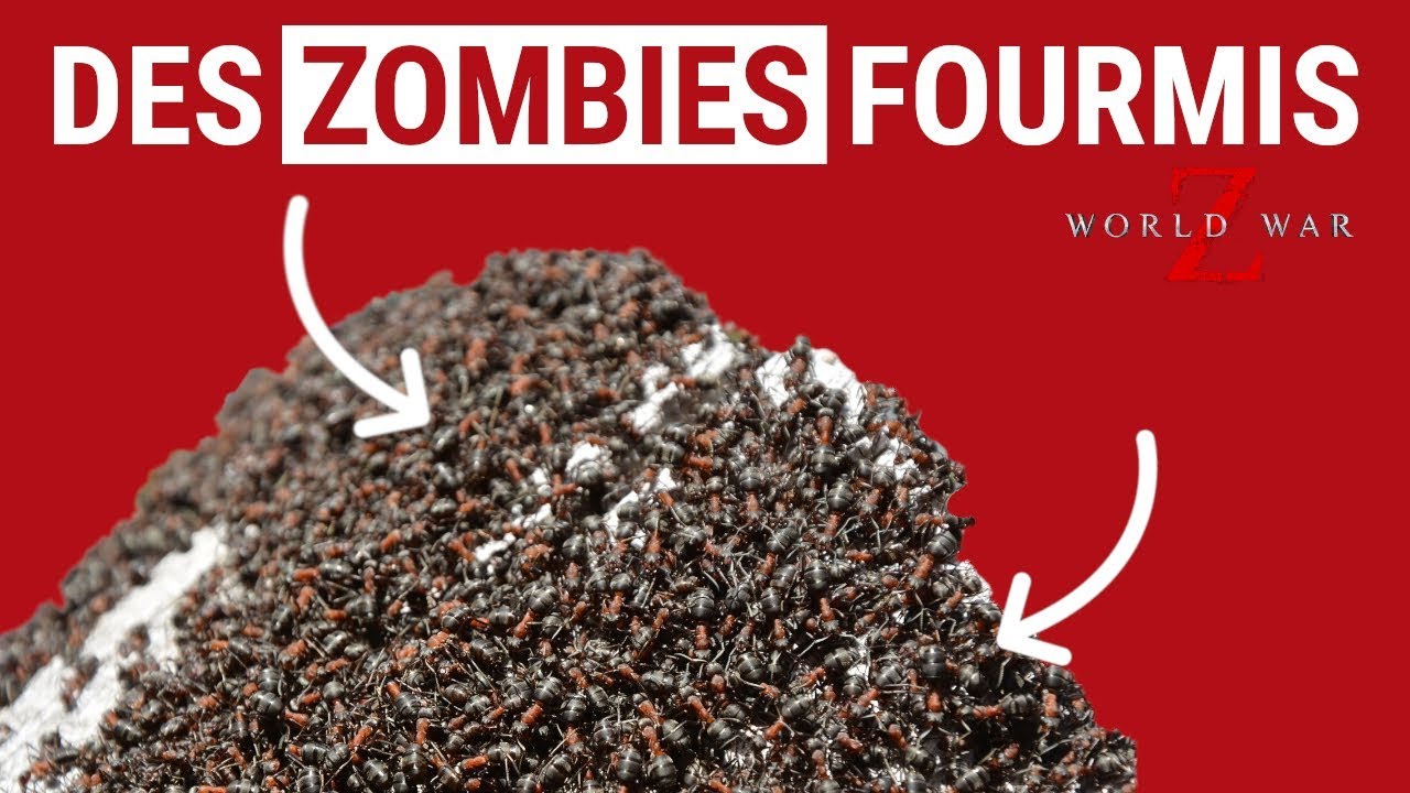 COMMENT COMBATTRE DES FOURMIS ZOMBIES ? [GAMING] - YouTube