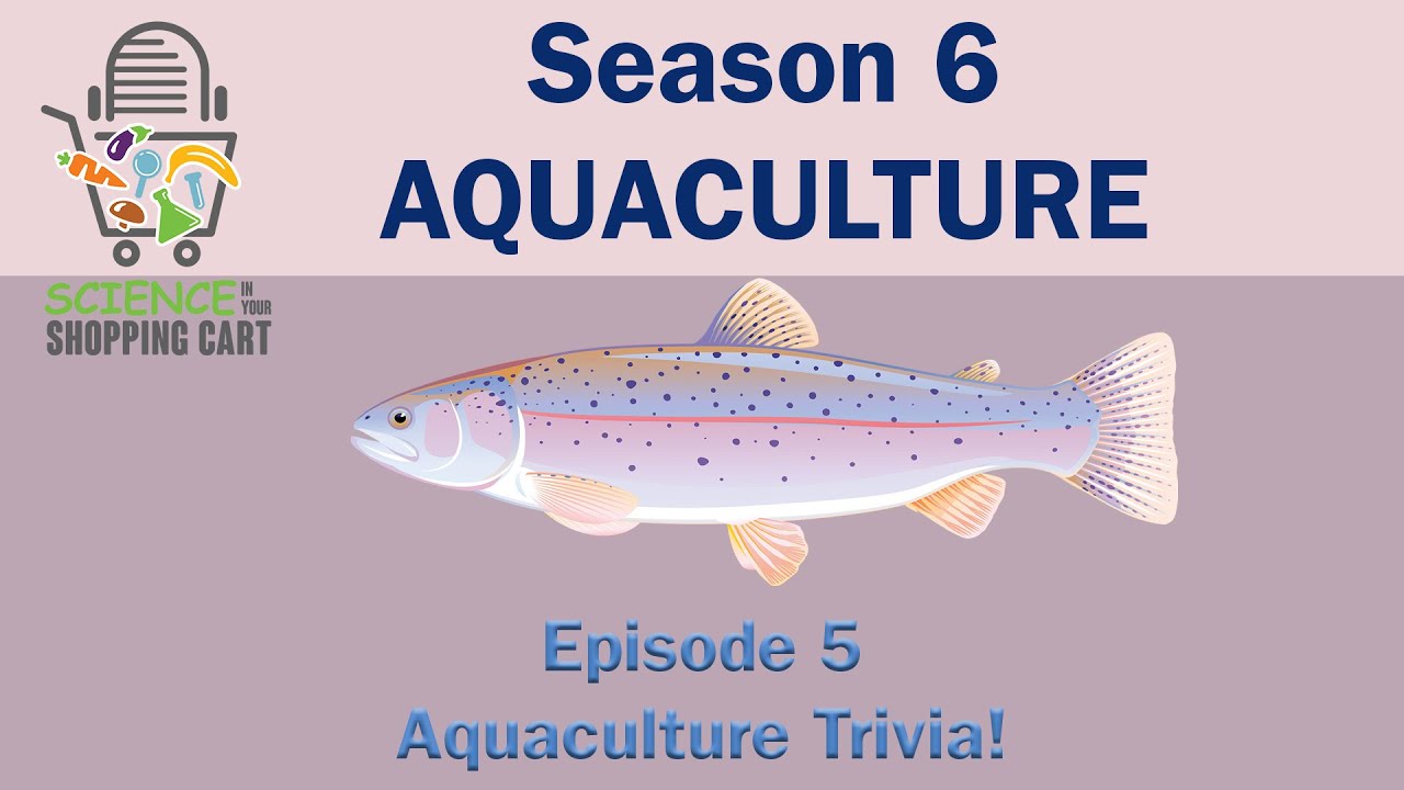 Science in your Shopping Cart | Season 6: Aquaculture || Episode 5 ...