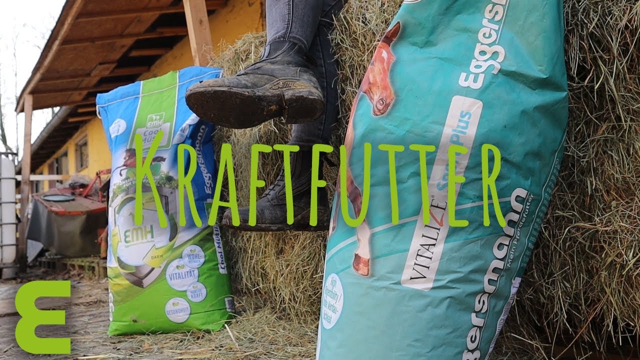 Kraftfutter - Basics Pferdefütterung #2 - YouTube