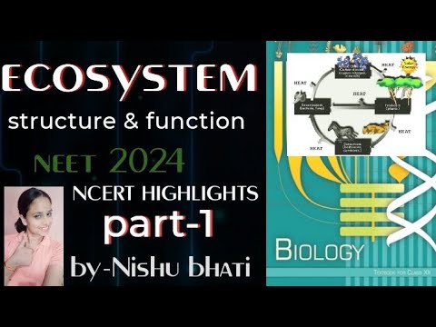 ecosystem ncert highlights|ecosystem ncert reading|ecosystem ncert line ...