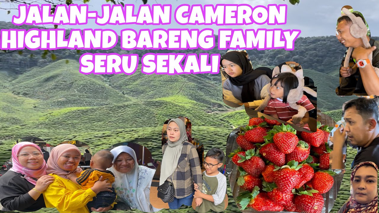 NAIK TANAH TINGGI CAMERON BELI SAYUR DAN BUAH FRESH TERUS DARI LADANG ...