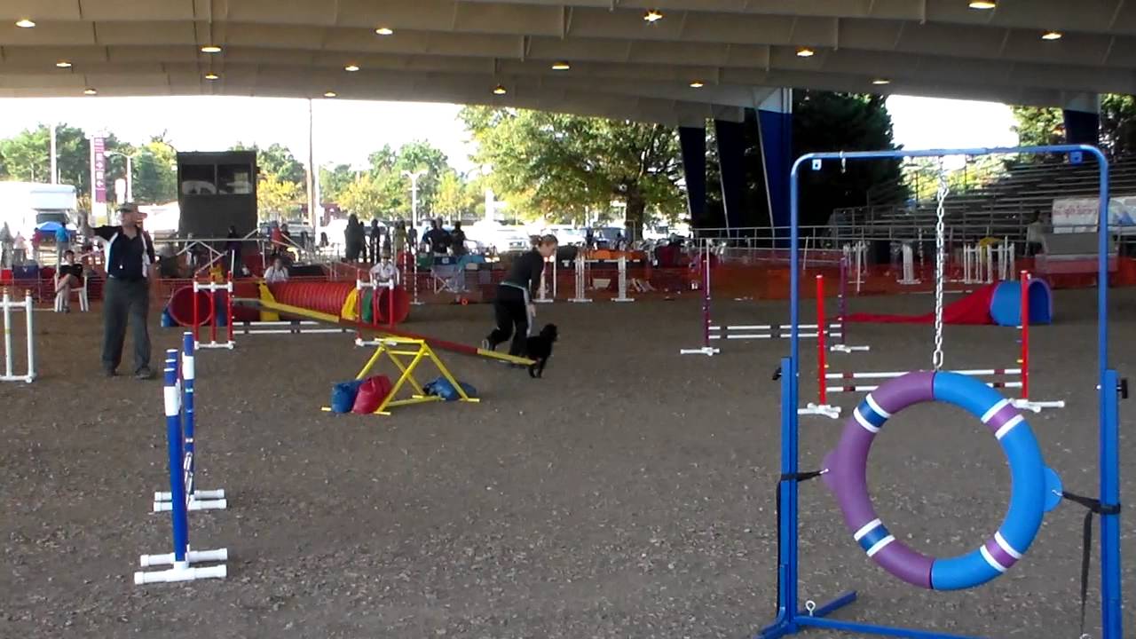 Gamblers Course; Richmond Raceway USDAA 9/30/12 - YouTube