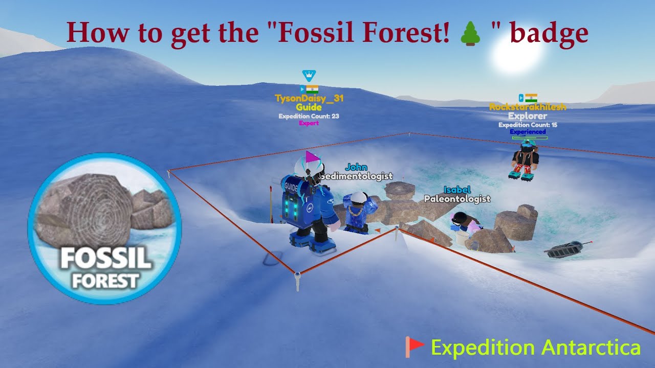 How to get the "Fossil Forest!🌲" badge | 🚩Expedition Antarctica ...