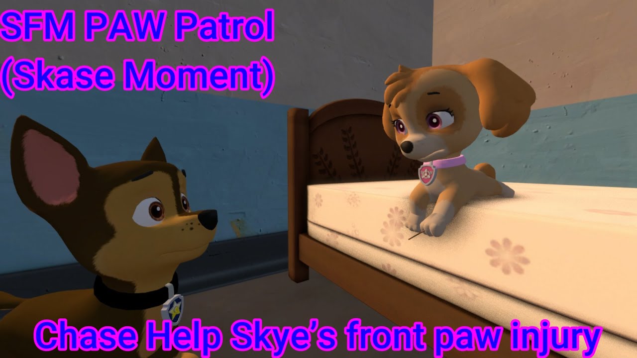 SFM PAW Patrol | Chase Help Skye’s front paw injury (Skase Moment ...