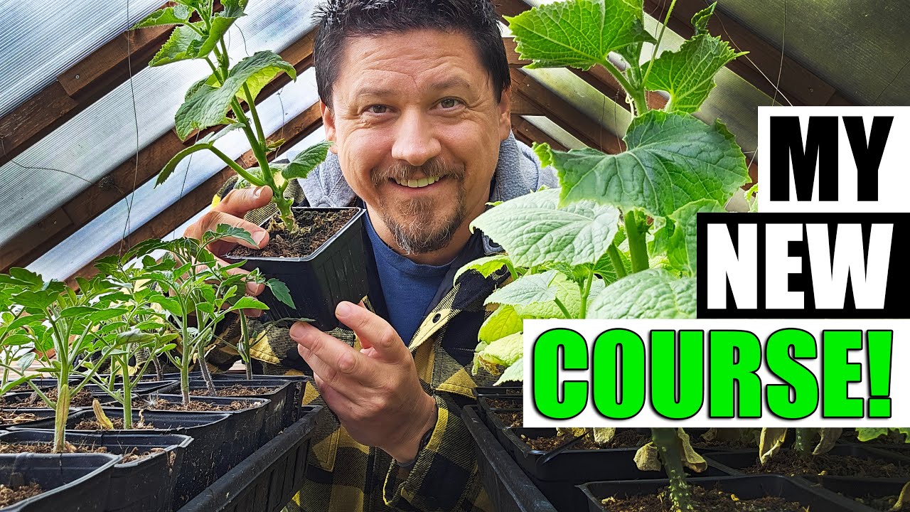 I Made A Gardening Course! - Vegetable Gardening Basics - YouTube