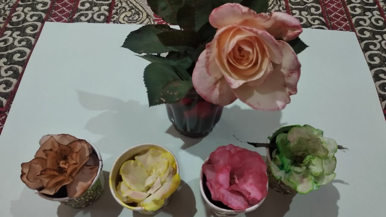 Happy Rose Day,Easy ROSE COLORING at home by Food color,how to color a ...