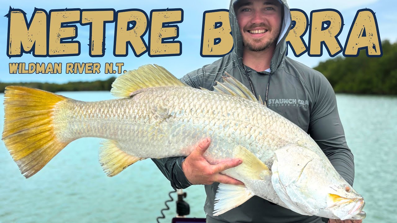 Meter Barra on the Wildman River! - YouTube