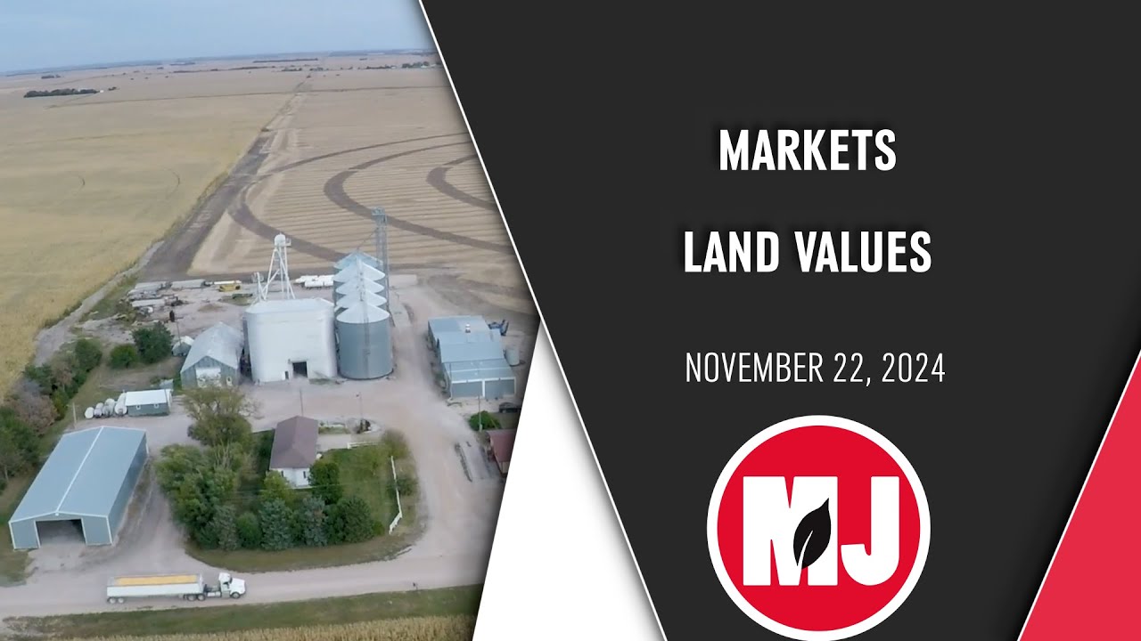 In the Markets | Land Values | November 22, 2024 - YouTube