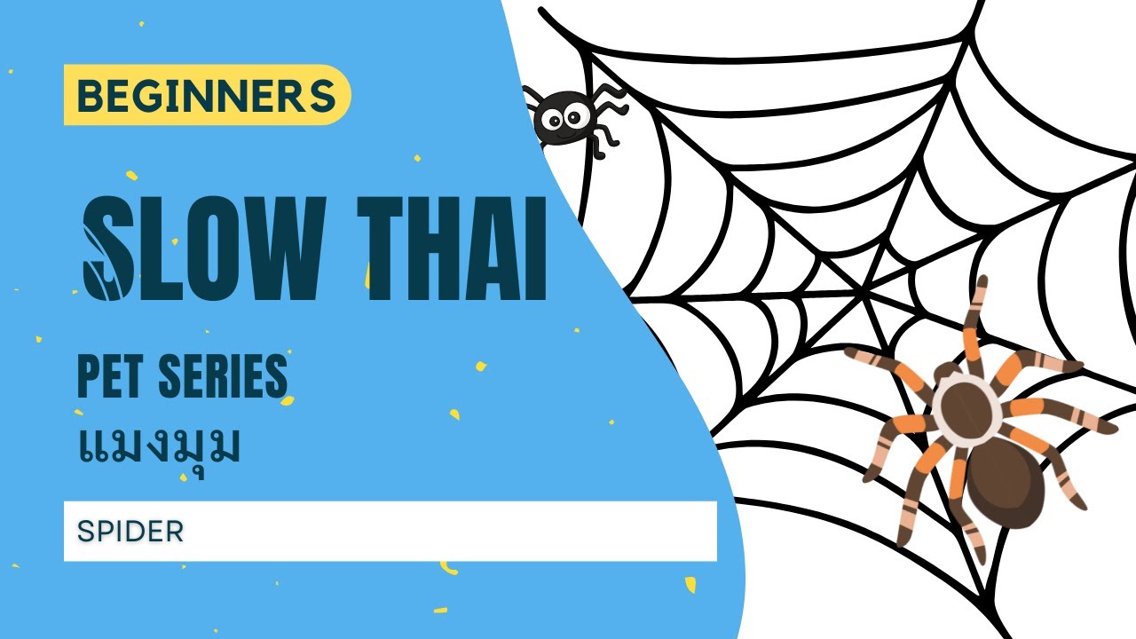 My Pet Spider | Beginner Slow Thai Stories | Listening Practice - YouTube