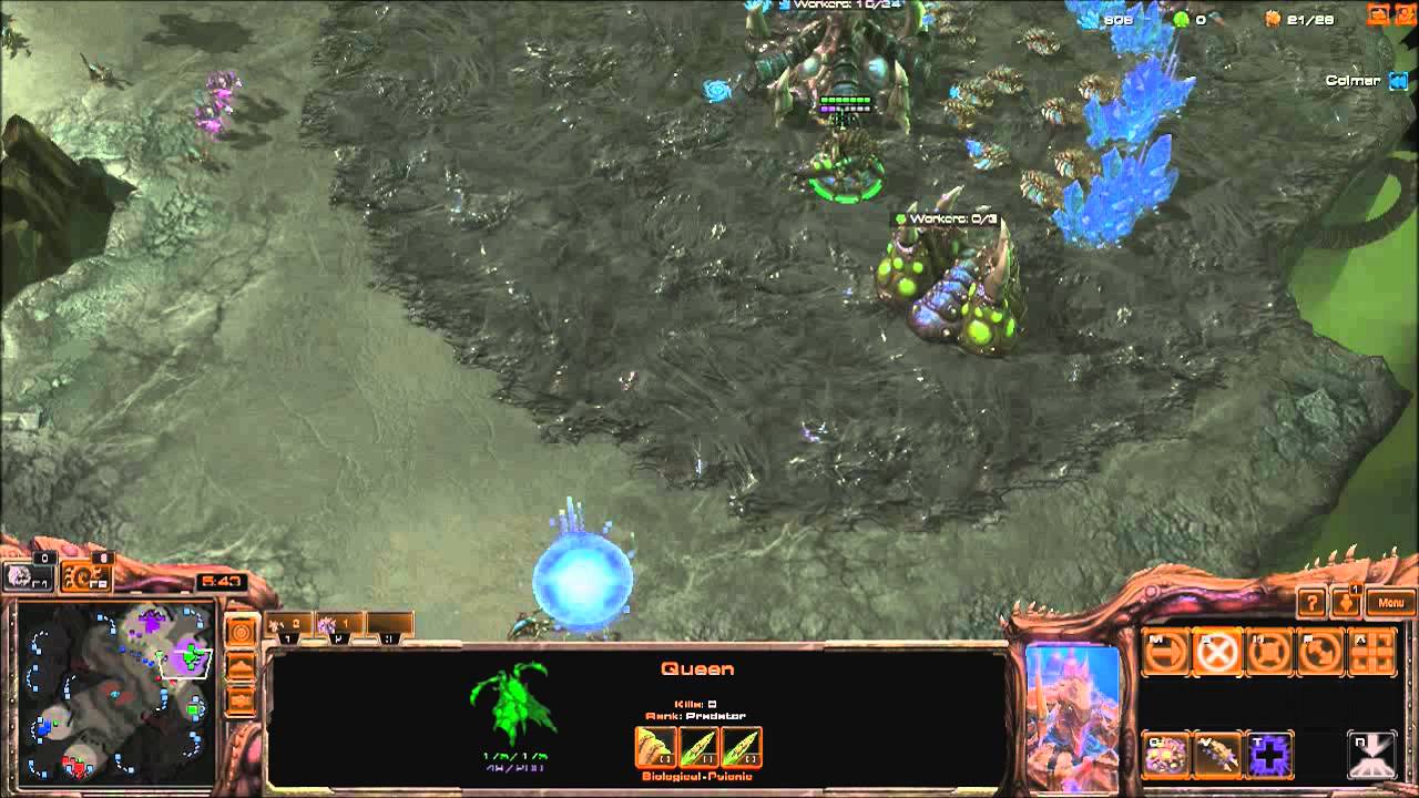 SC2 Colmar and Matthew Ranked #8 - CANNON RUSH - YouTube