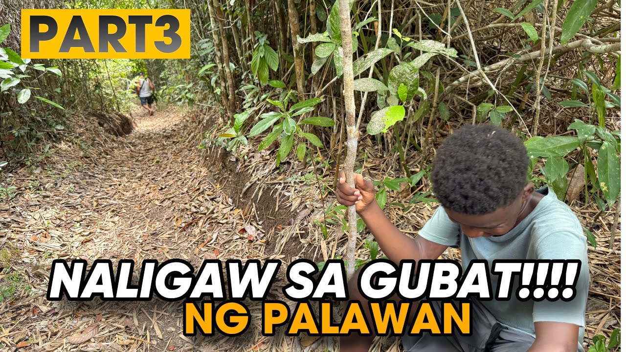 NALIGAW SA GUBAT NG PALAWAN - YouTube