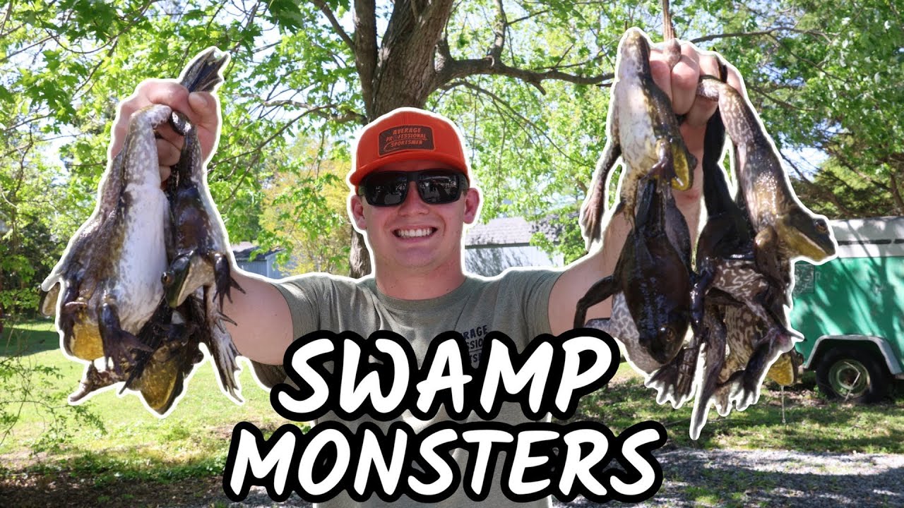 Catching Bullfrogs BAREHANDED! Monster bullfrogs in the Swamp! - YouTube