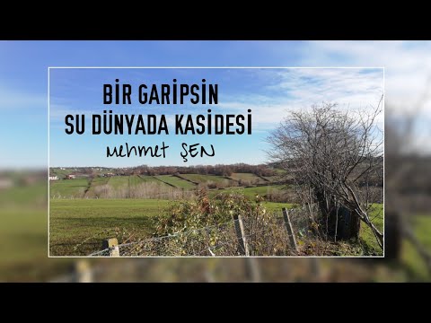 KASİDE. Bir garipsin şu dünyada kasidesi. Mehmet ŞEN