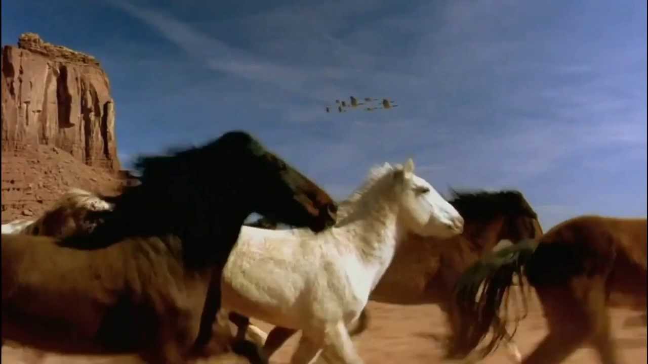 Horses in HD -let the sunshine ~ Labrinth- - YouTube