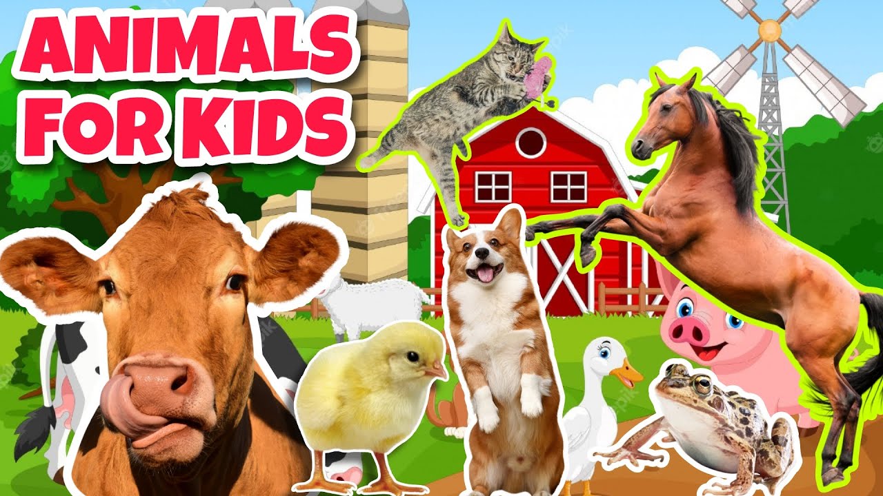 Animals for kids Funny Farm animal sound - YouTube