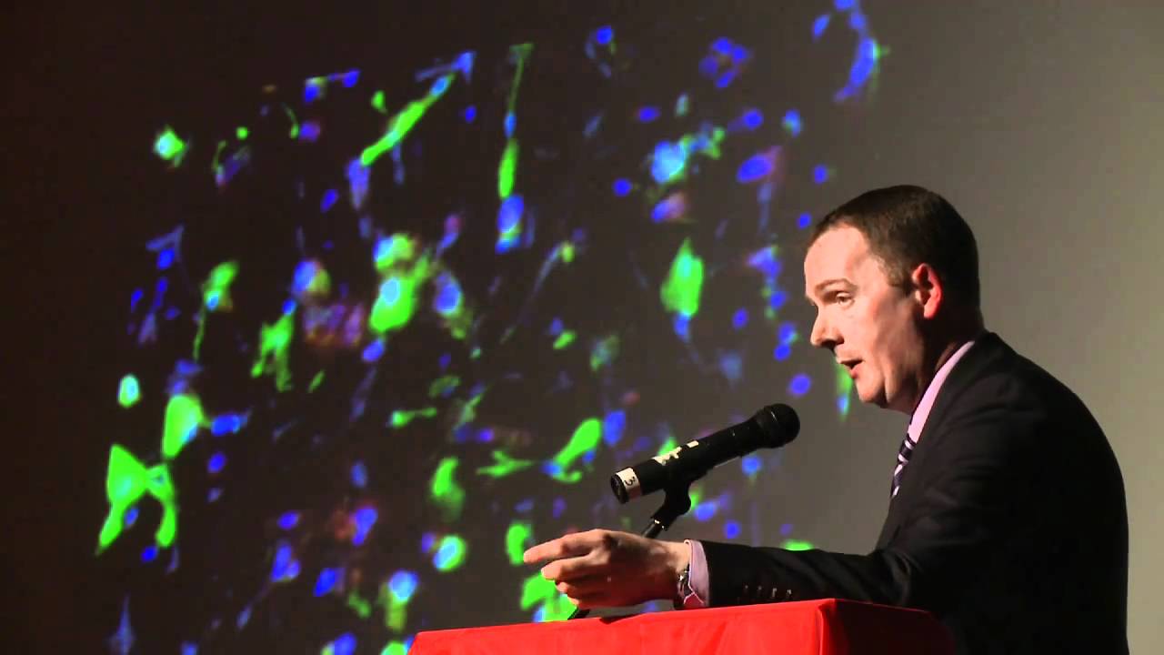 3 of 3 : Dr. Colin McGuckin on stem cell therapy and research : Viva La ...