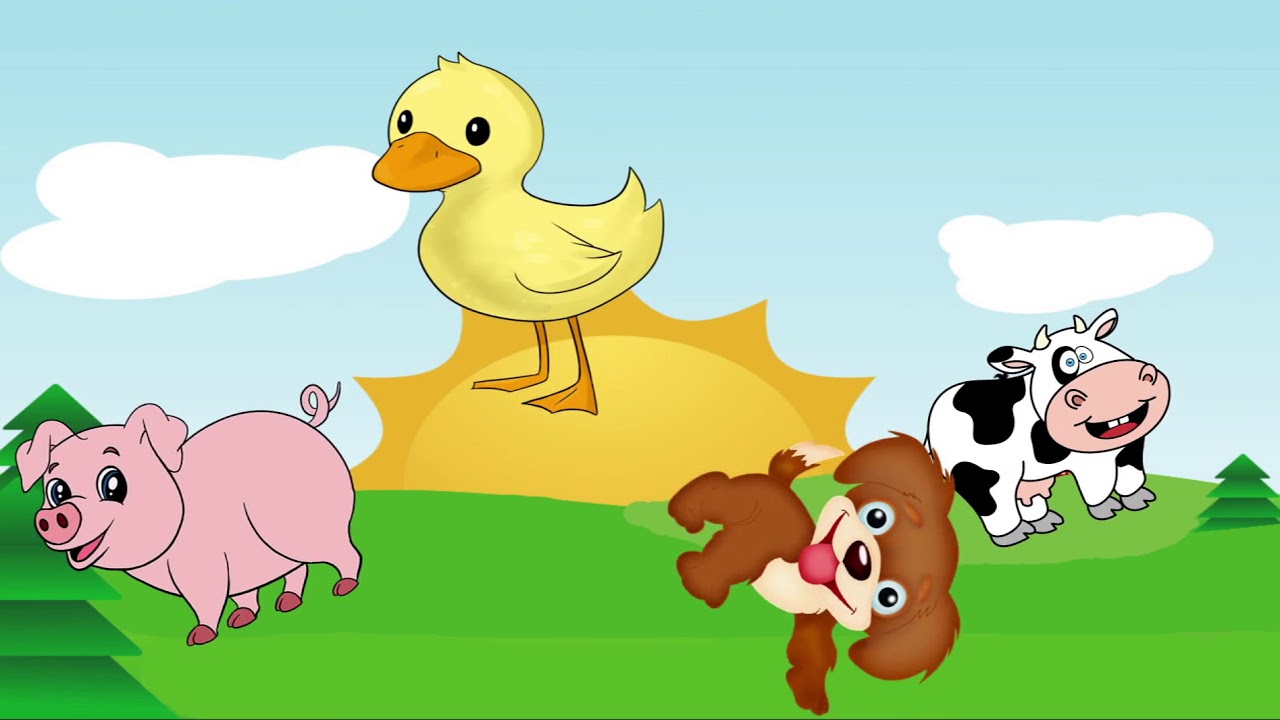 Dog,pig,cow,sheep and duck in farm singing Old McDonald / kids songs ...